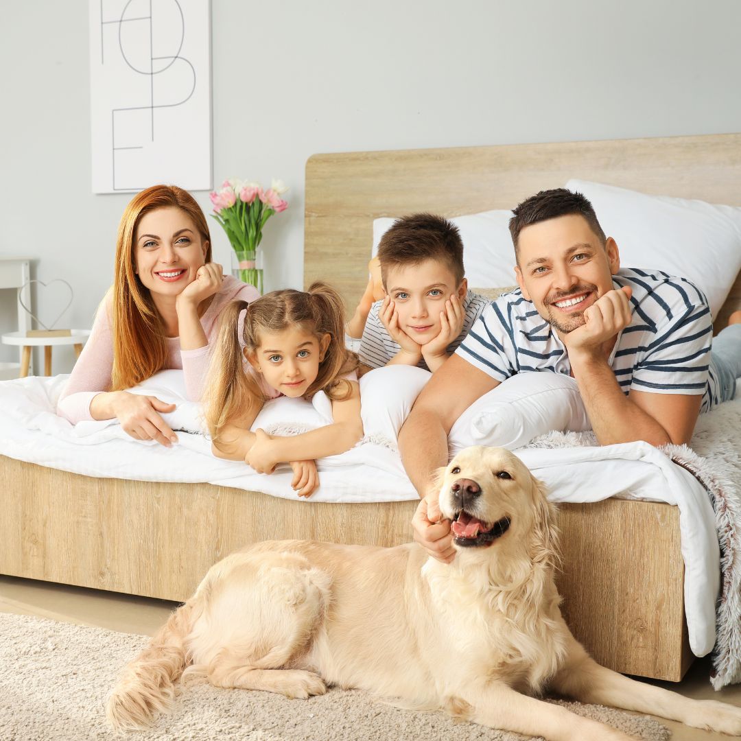 KIDS, PETS, and MAYHEM: Interior Design for the whole crew