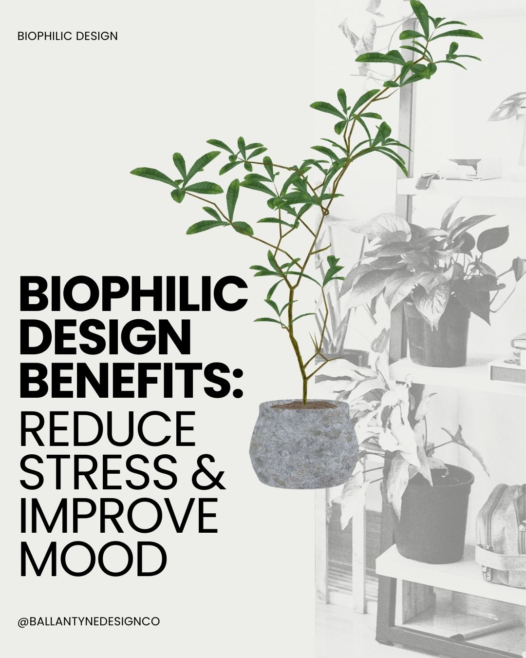 Biophilic Design: Embracing Nature for Sustainable and Healthy ...