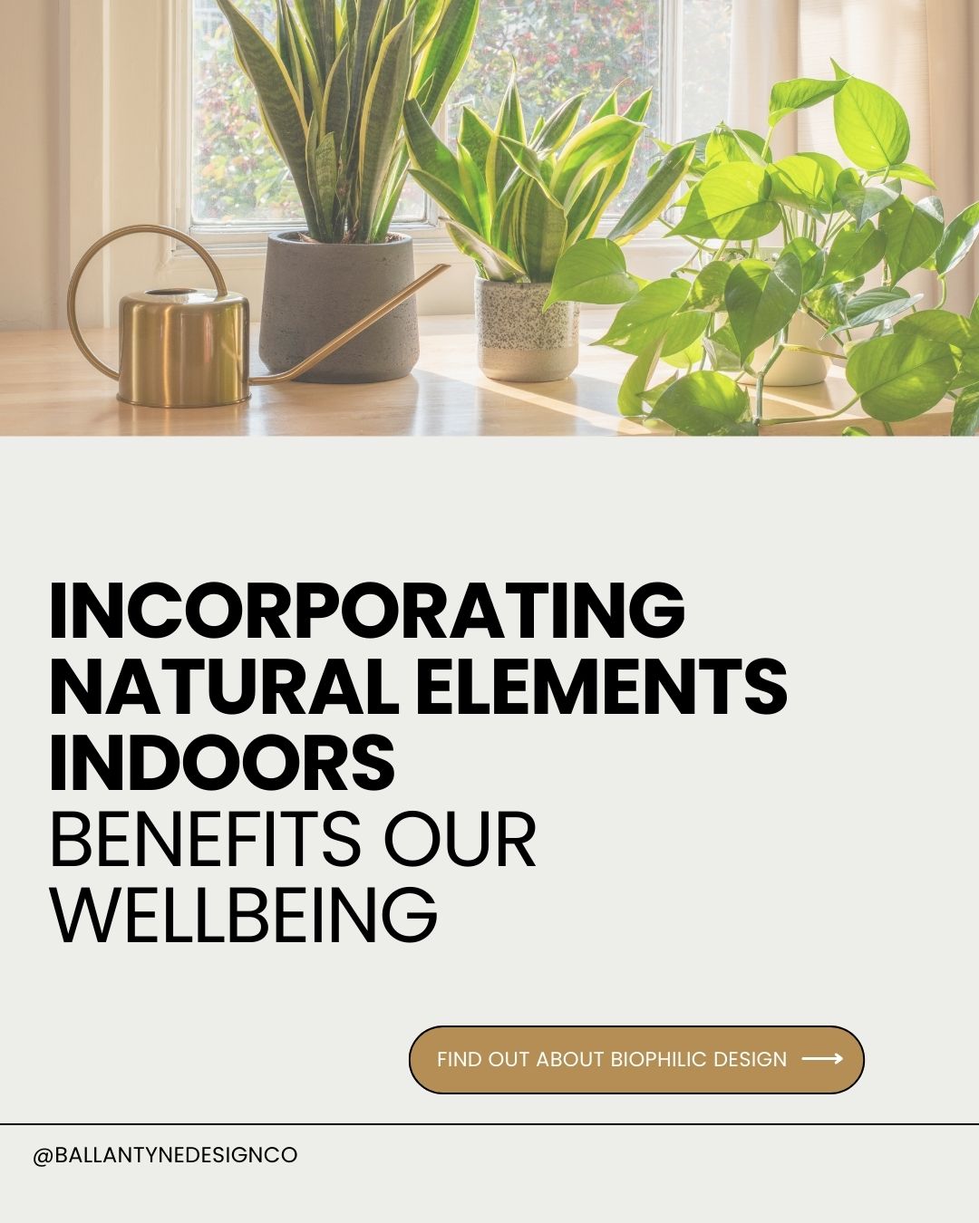 Biophilic Design: Embracing Nature for Sustainable and Healthy ...