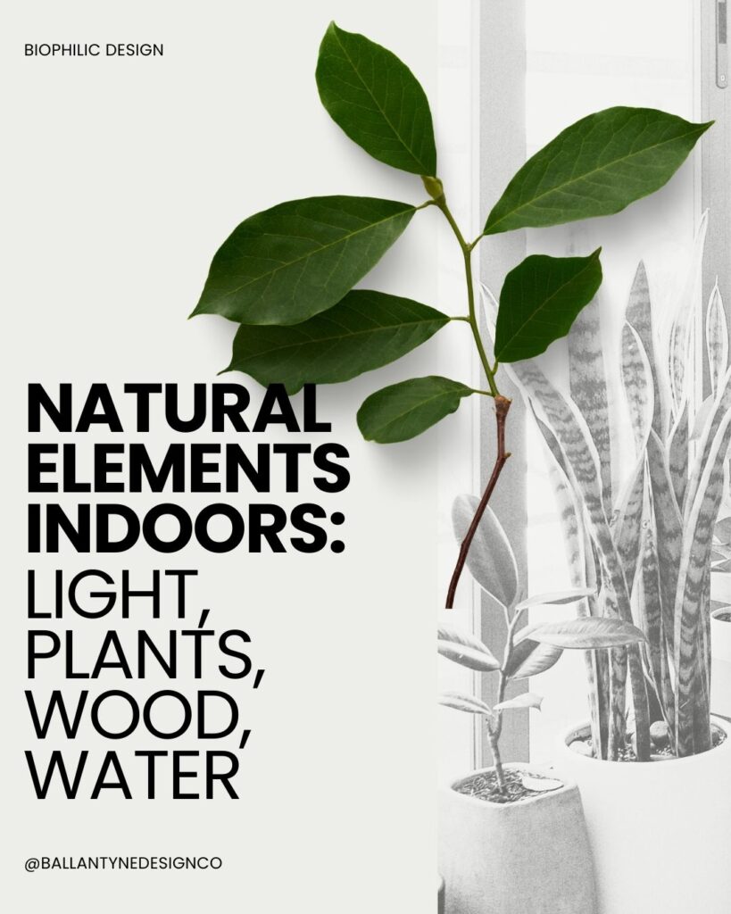 Biophilic Design: Embracing Nature for Sustainable and Healthy ...