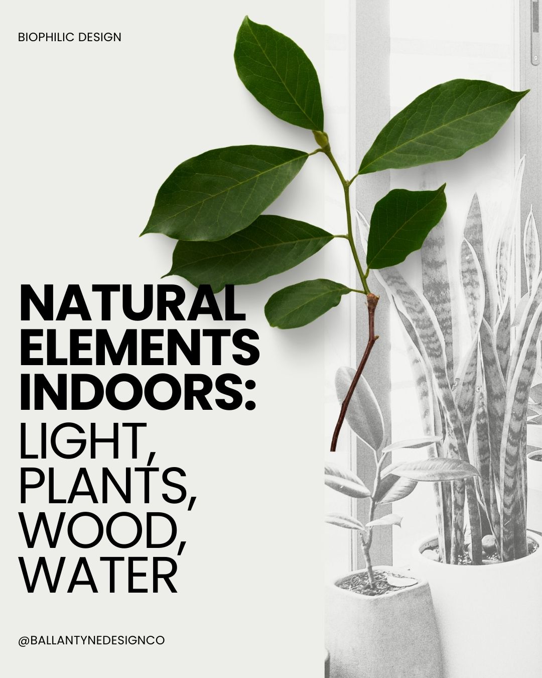 Biophilic Design: Embracing Nature for Sustainable and Healthy ...